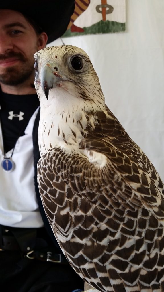 winter-and-remy – East Kingdom Gazette